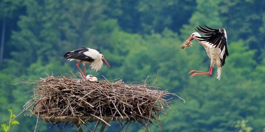 Development for Conservation | F-Stop and Be There